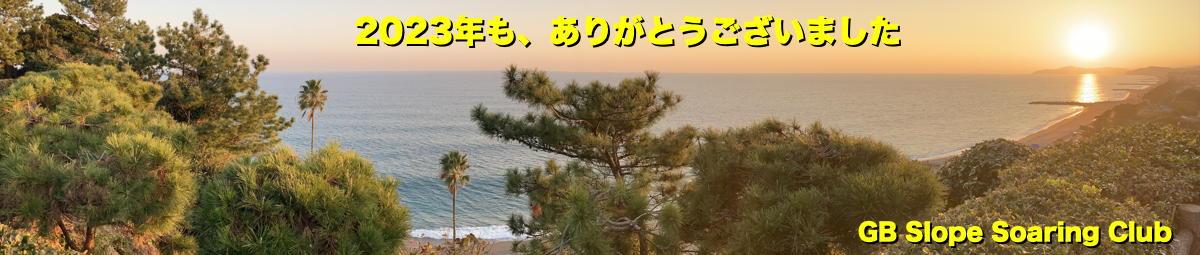 ホーム:GBSSとは - GBSS