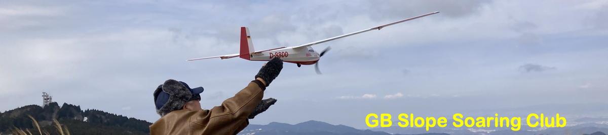 ホーム:GBSSとは - GBSS