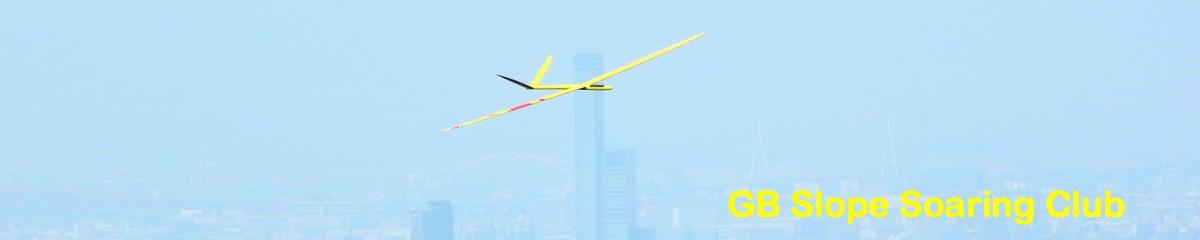 ホーム:GBSSとは - GBSS