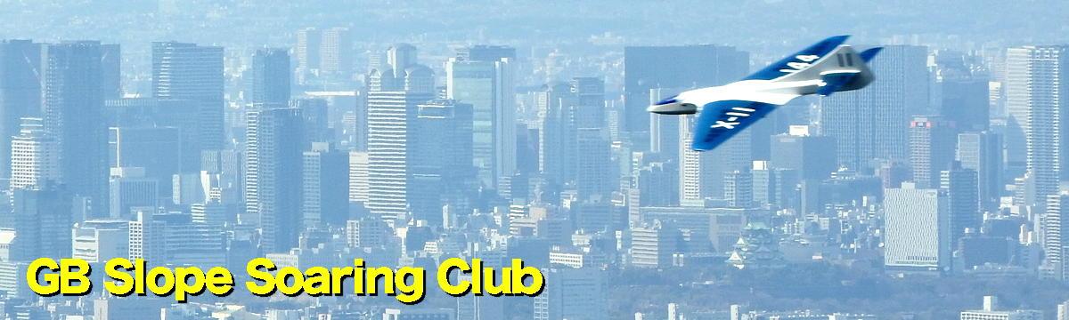 ホーム:GBSSとは - GBSS